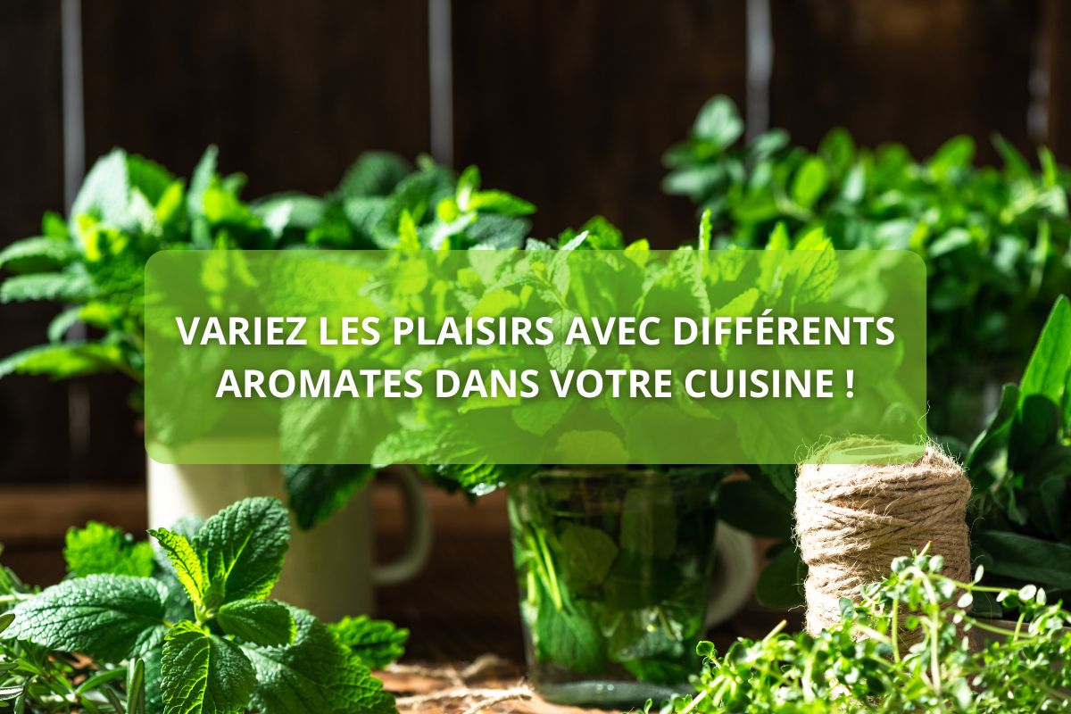 Variez les plaisirs avec différents aromates dans votre cuisine ...