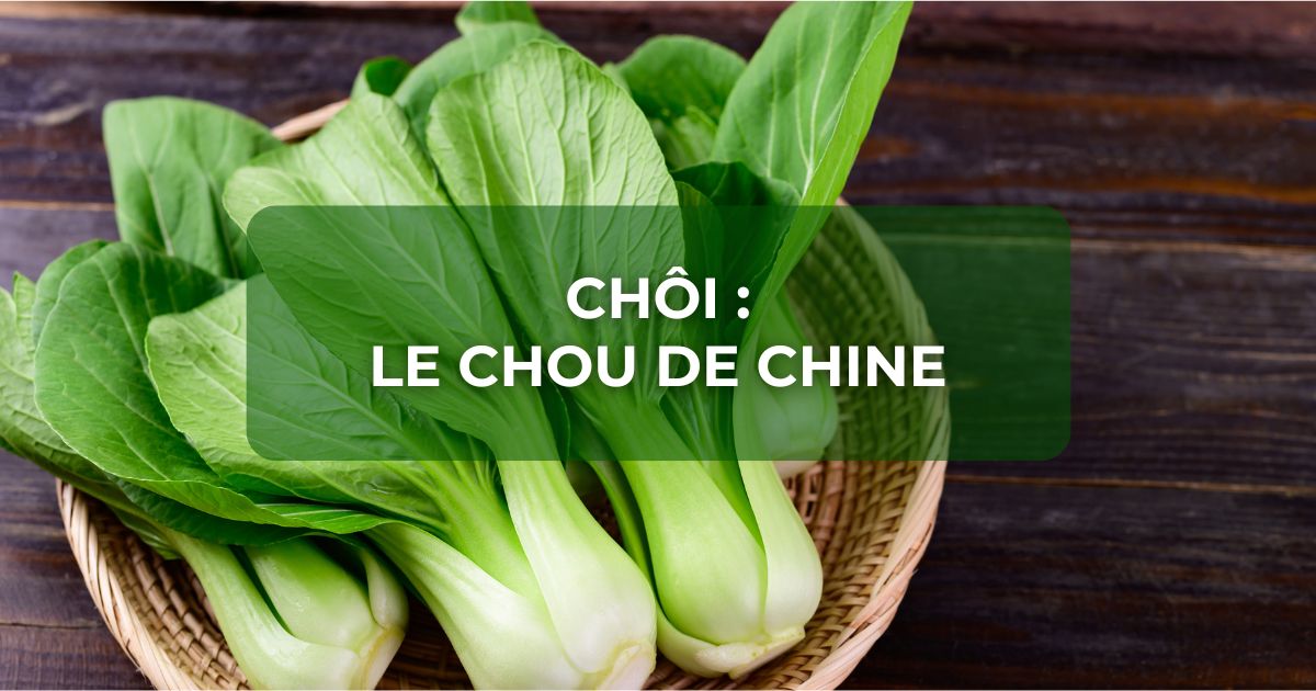 Chôi : le chou de Chine – Cultivea