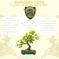 Kit First Bonsai Phoenix Tree – Cultivea
